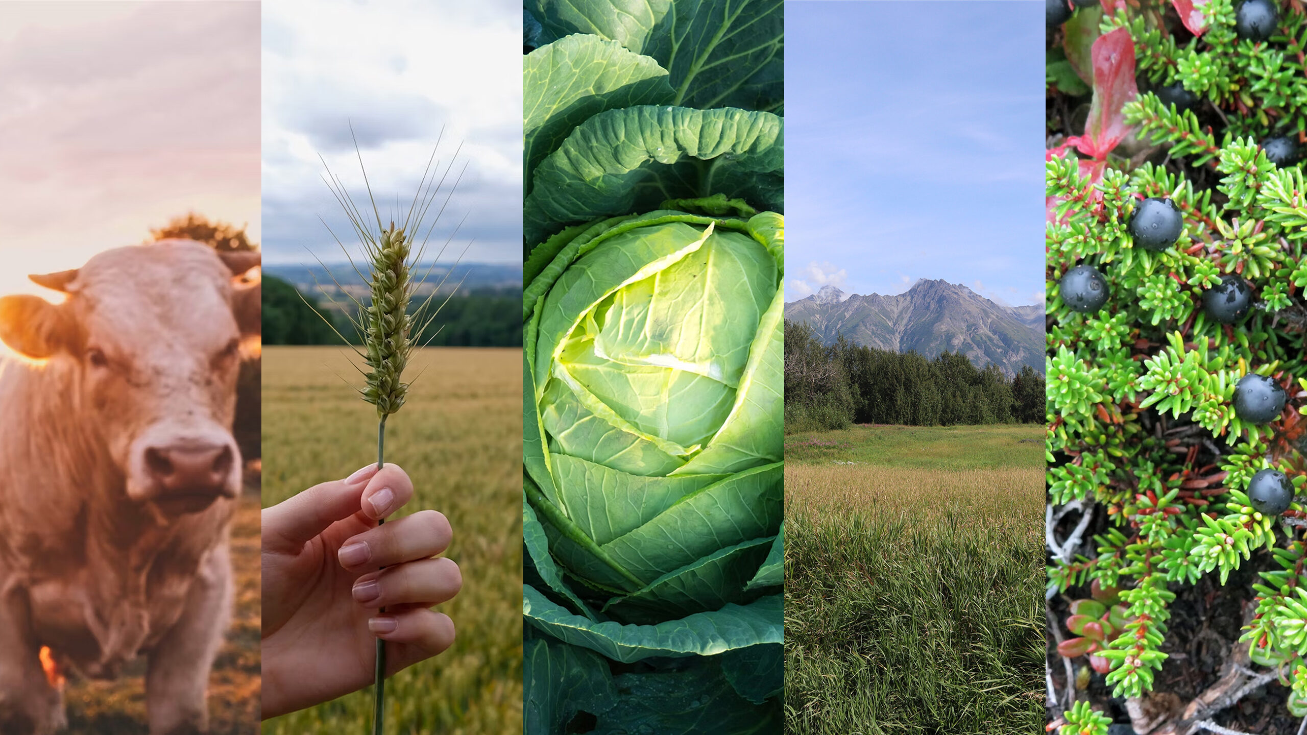 Why a Department of Agriculture Makes Sense for Alaska - Alaska Senate ...